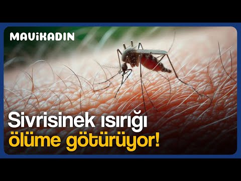 Sivrisinek Isırığı Ölüme Götürüyor! Oropouche Virüsü Nedir? - Mavi Kadın
