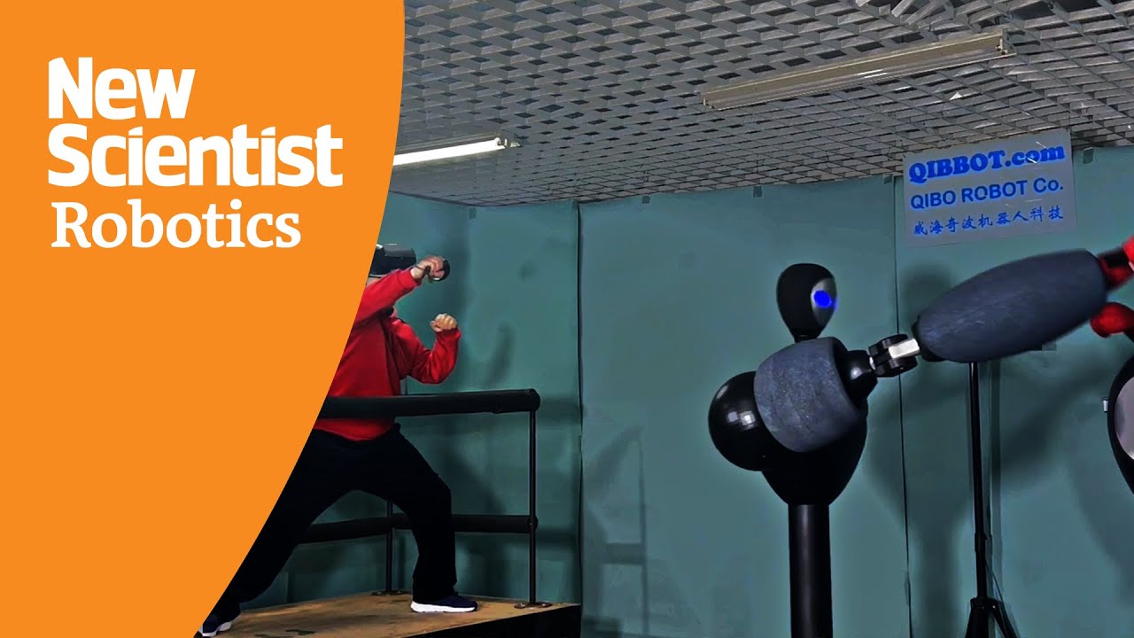 Meet QIBBOT, the world's fastest tele-operated boxing robot - Go IT