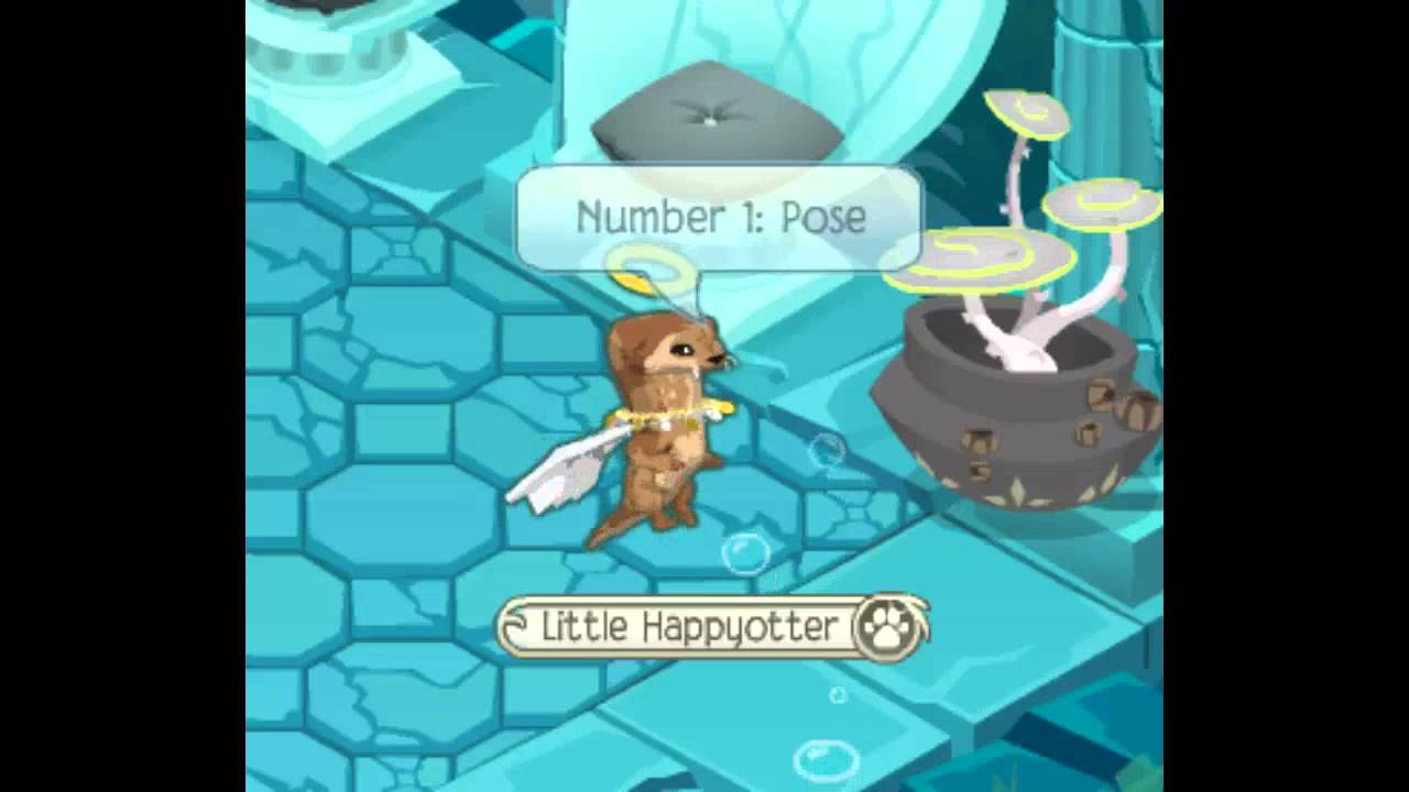 Animal Jam - Otter Actions! - YouTube