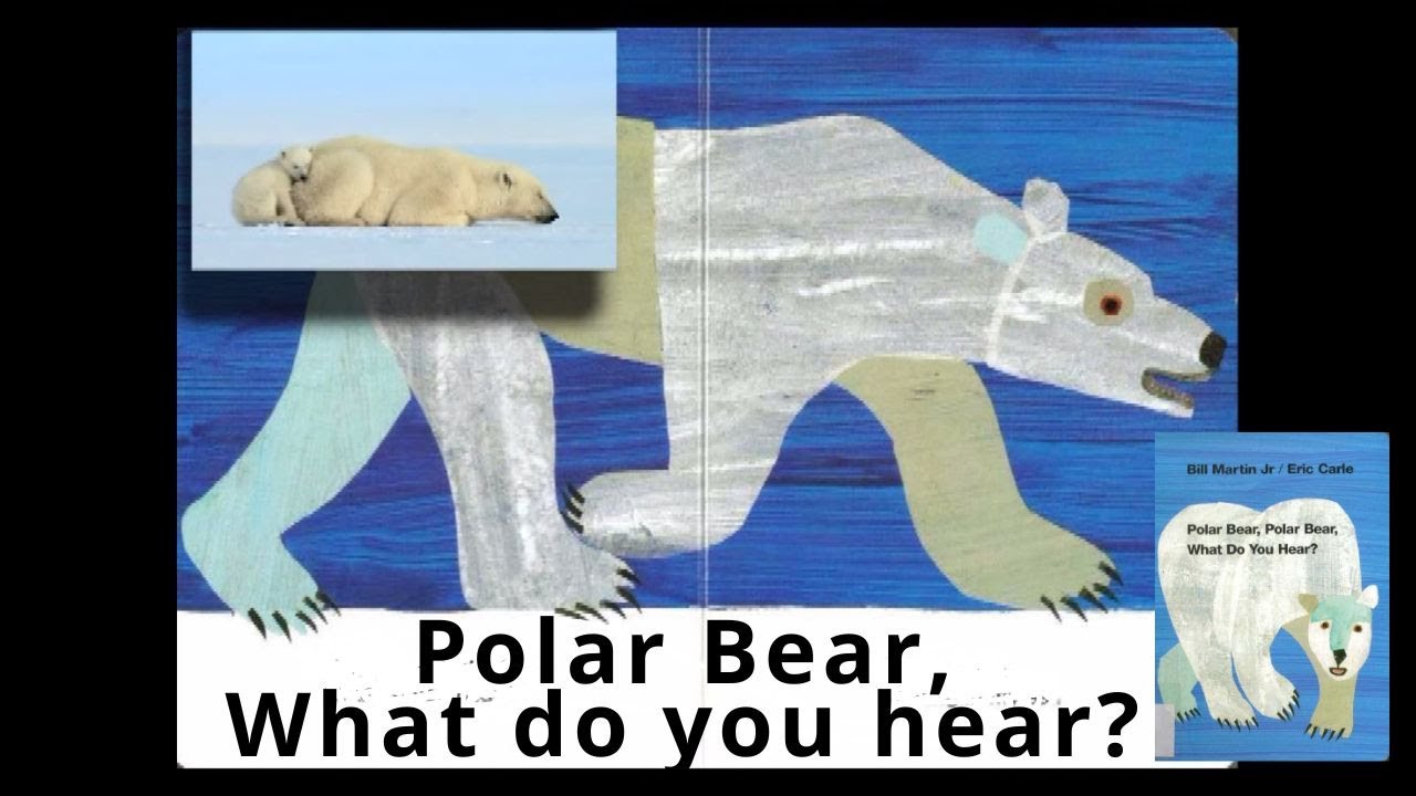 Polar Bear Song and Story - YouTube