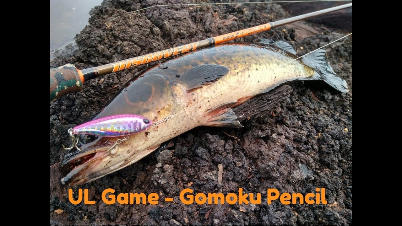 Ultralight Fishing-Storm Gomoku Pencil strike Ocellated Snakehead ...