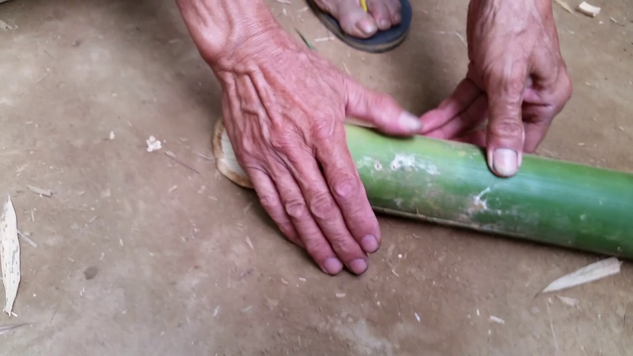 How to Make a Monitor Lizard Trap | My Time in a Jungle Hut ...