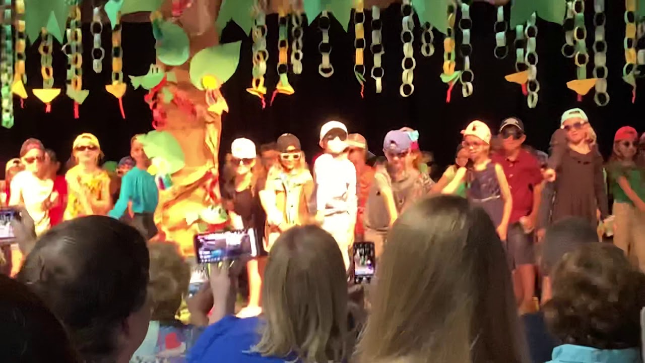 Addie’s Rainforest Rap - YouTube