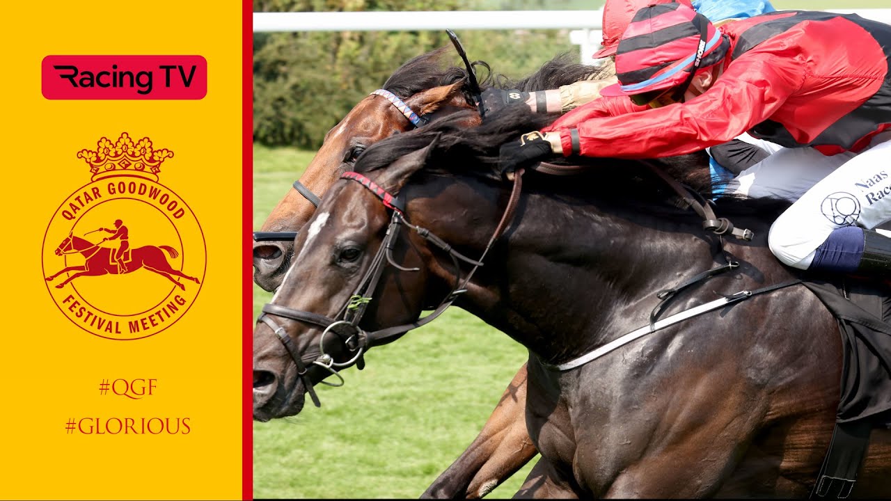 BLACK FORZA swoops for Richmond Stakes triumph - YouTube