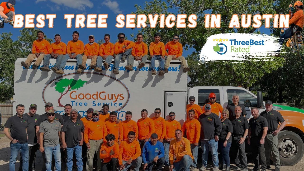 Good Guys Tree Service: Celebrating 25 Years of Excellence with the ...