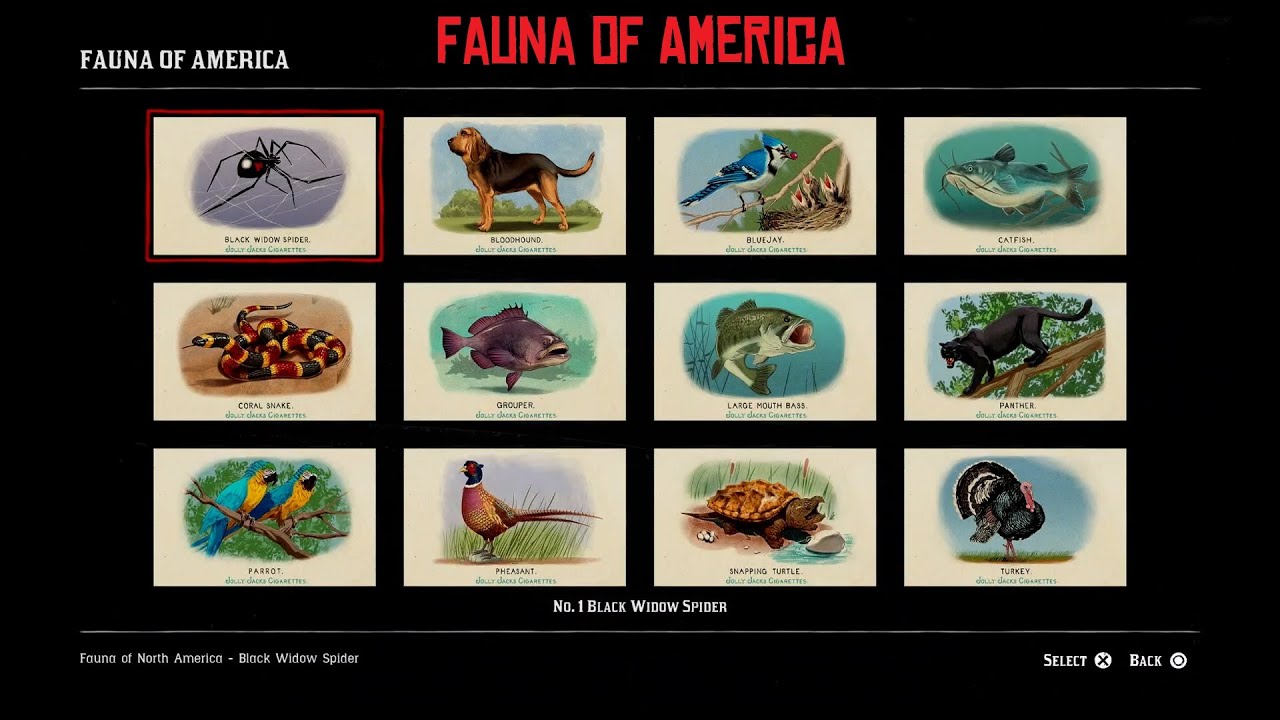 Fauna Of America. RDR2 100% Walkthrough. Cigarette Cards - YouTube