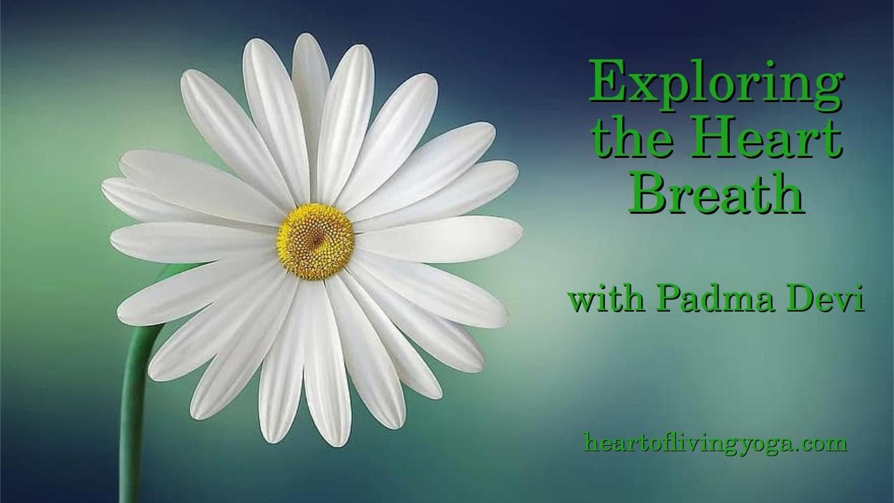 Exploring the Heart Breath with Padma Devi - YouTube