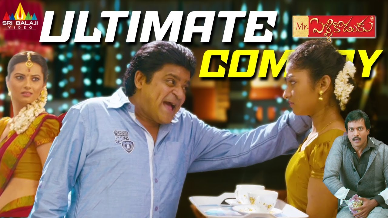 Ali's Ultimate Comedy Scenes | Mr.Pellikoduku | Telugu Movie Scenes ...