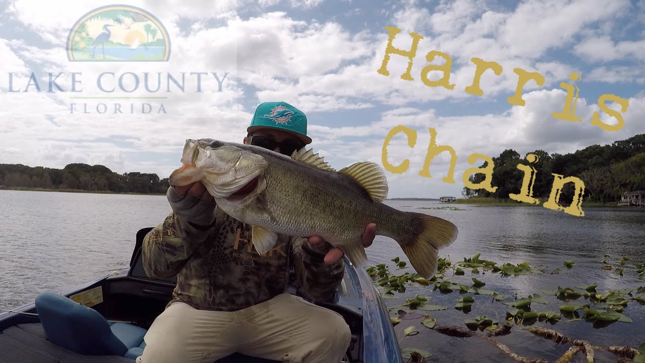 Bass Fishing Fun On The Harris Chain - YouTube