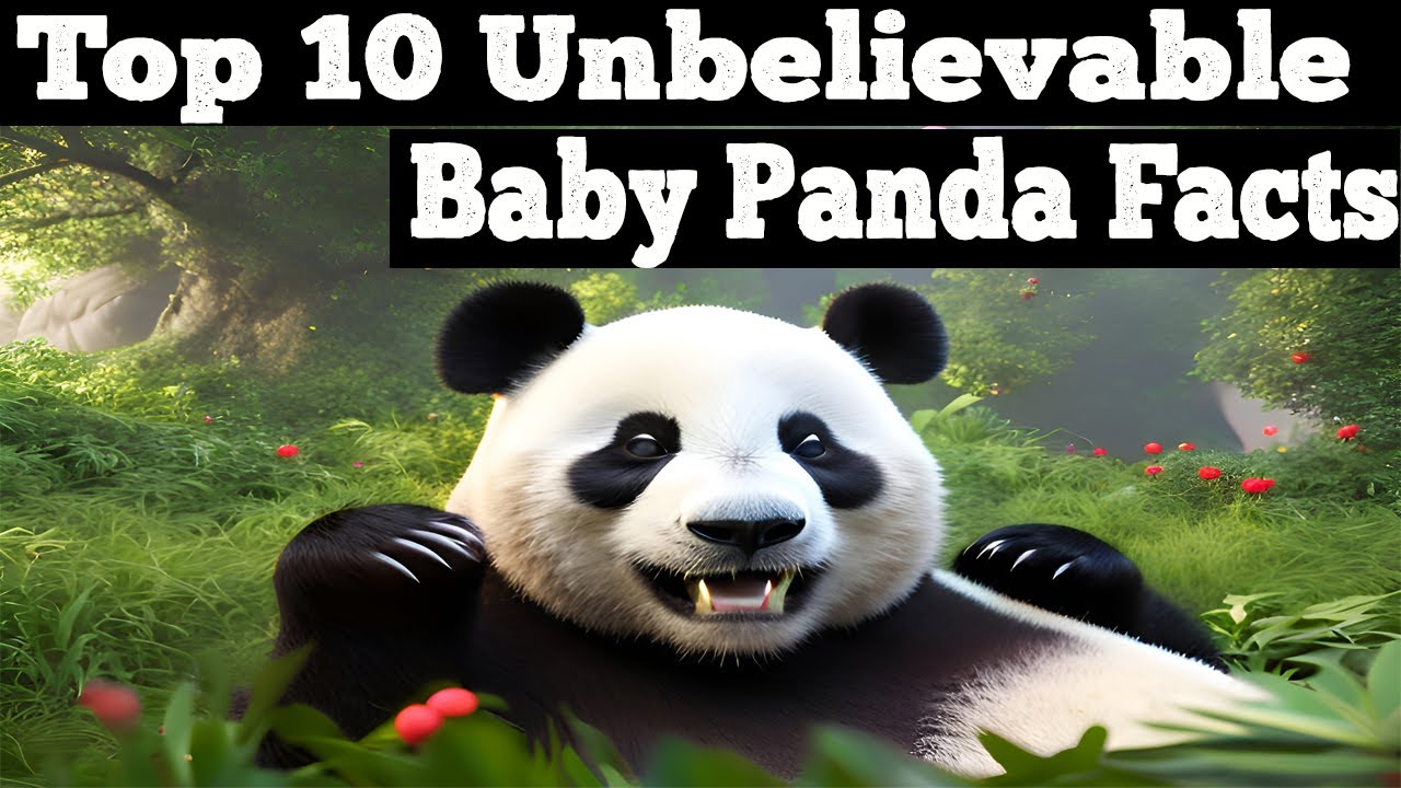 Top 10 Unbelievable Baby Panda Facts - Glitter Animals - YouTube