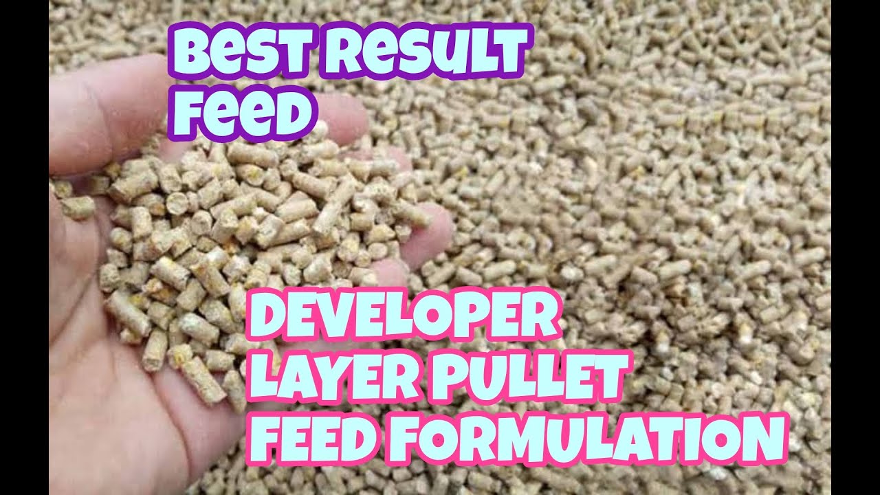 LAYER FEED || DEVELOPER LAYER FEED || PULLET DEVELOPER FEED || 16 - 18 ...