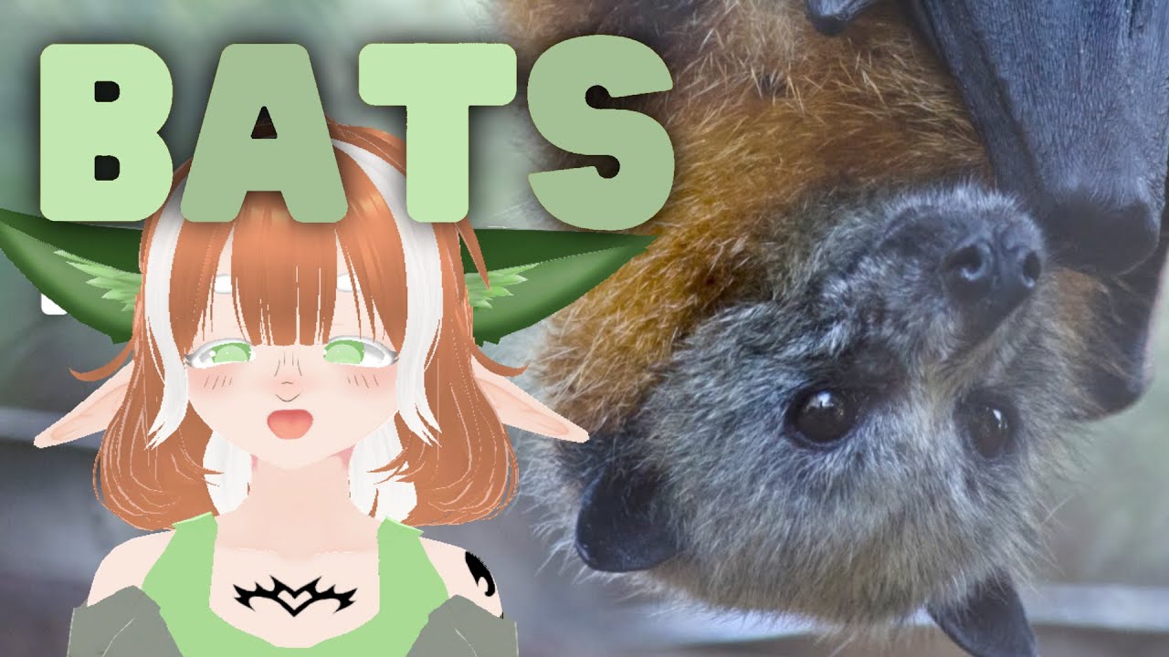 Bat Vtuber Learns Cool Facts About Bats - YouTube