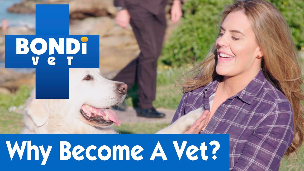 Why Dr Kate Adams Became A Vet - YouTube