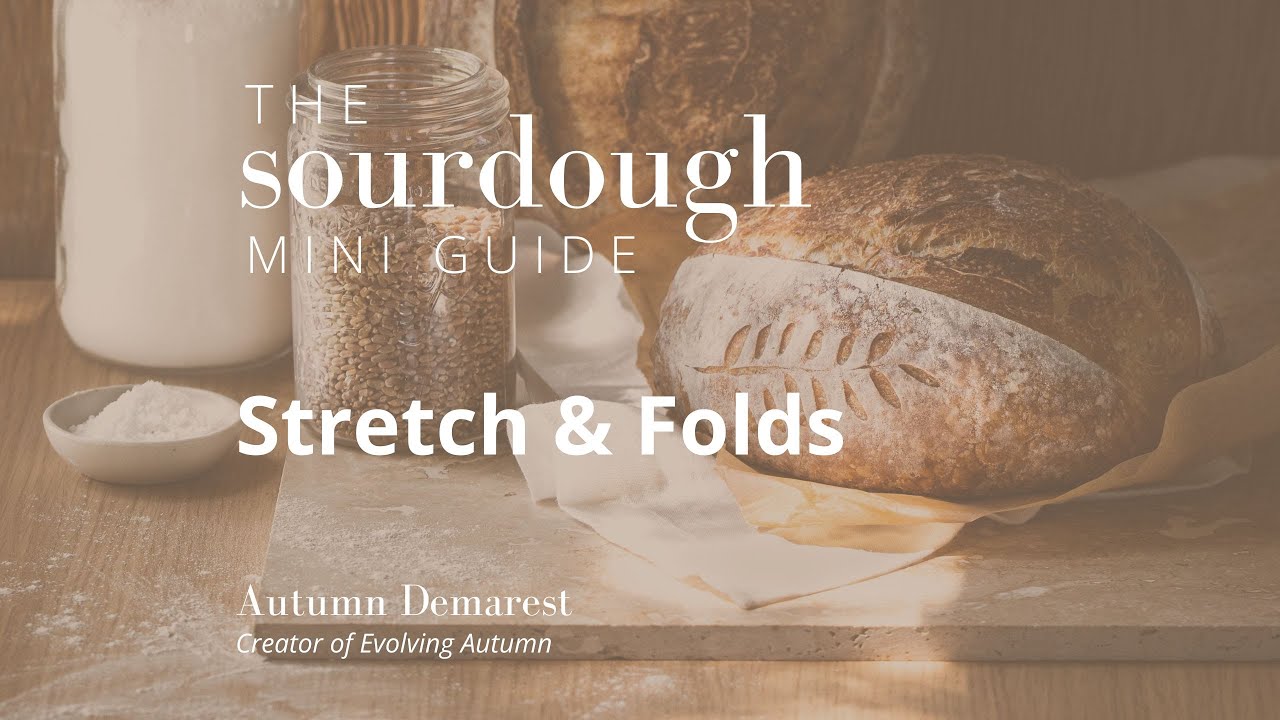 How to Stretch and Fold Sourdough (BONUS: Coil Fold) - YouTube