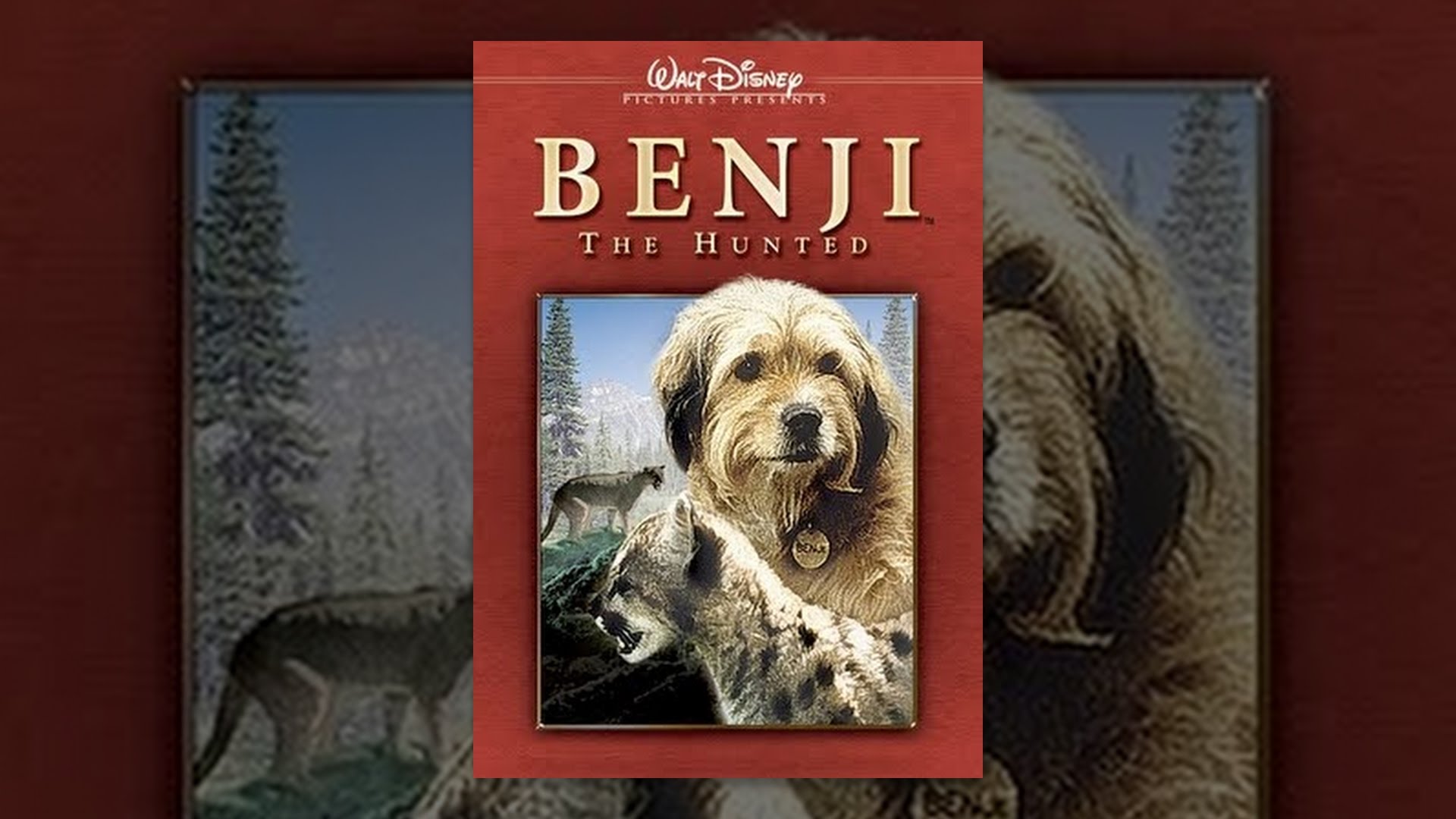 Benji The Hunted