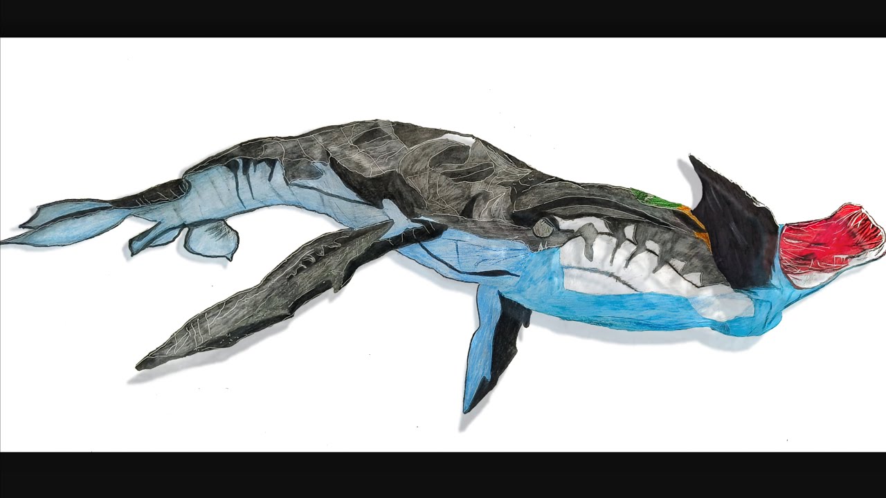 Tulkun from Avatar the way of water Drawing - YouTube