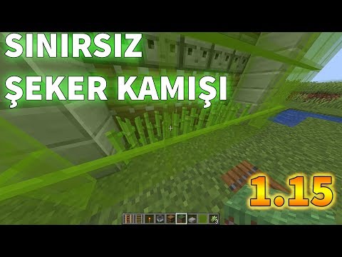 TAM OTOMATİK ŞEKER KAMIŞI FARMI NASIL YAPILIR?|MİNECRAFT 1.15