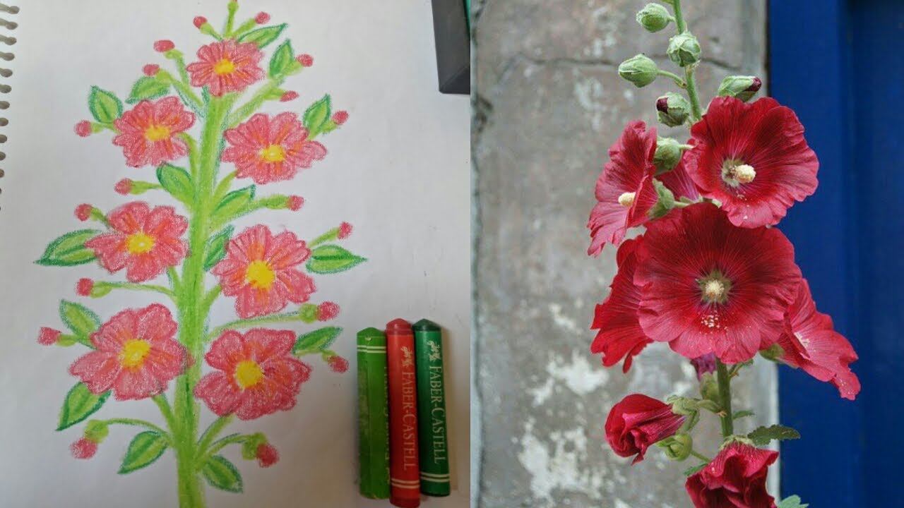 How to draw red flowers by Jayalaxmi Dasari - YouTube