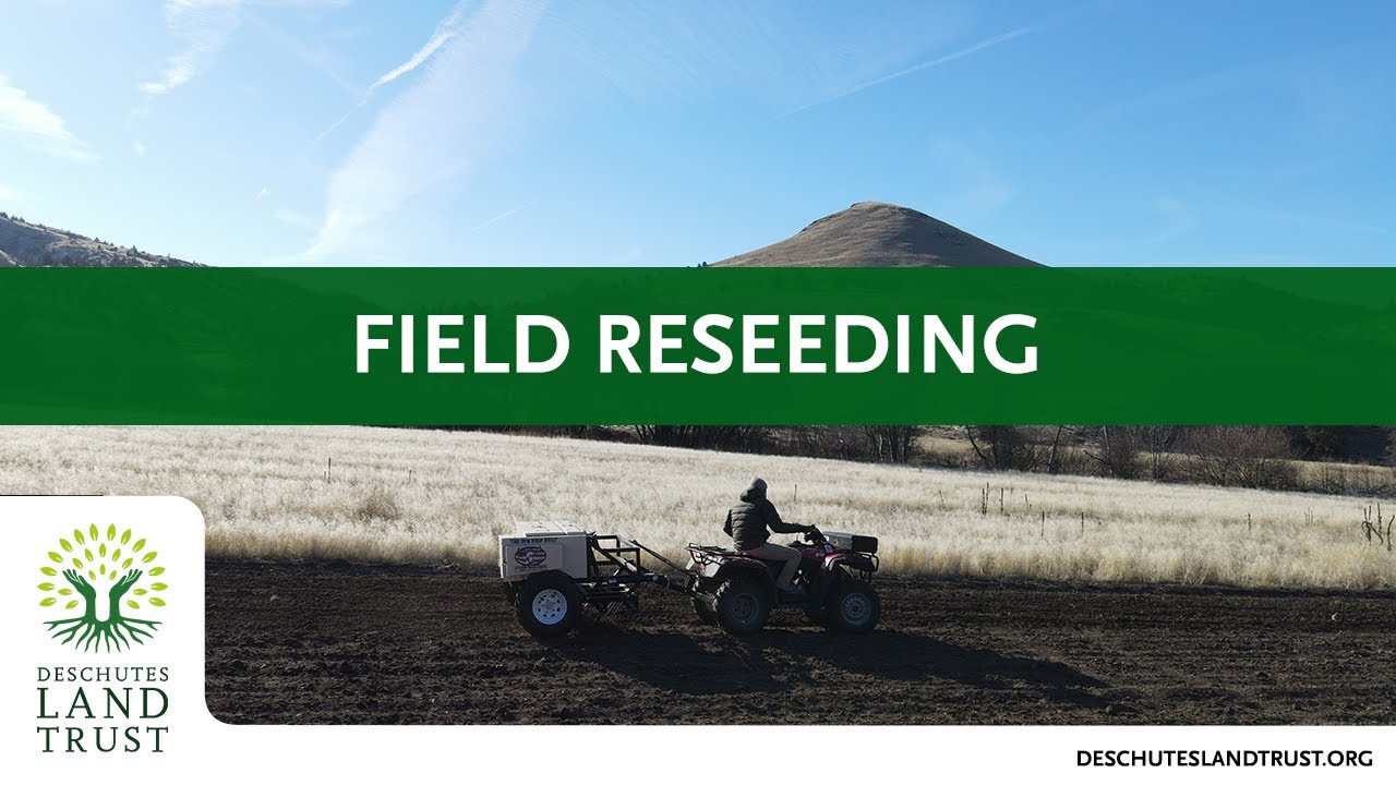 Field Reseeding - YouTube