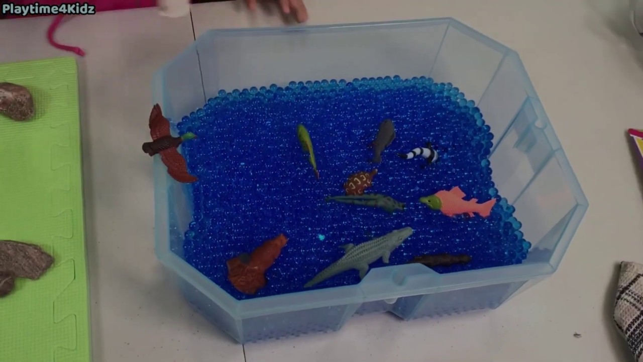 River Animals: Create & Play with this River Animal Sensory Bin ...