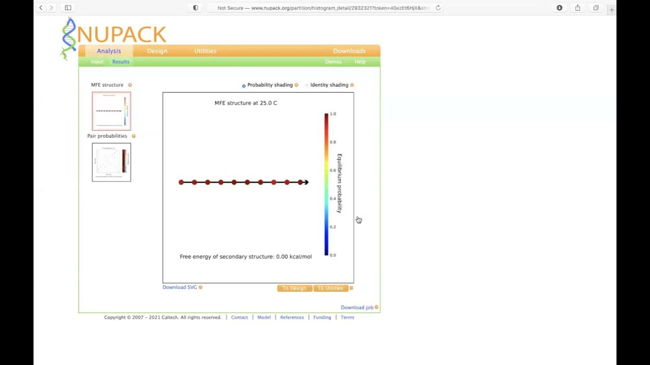 A Basic NUPACK Analysis (DNA Double Helix) - YouTube