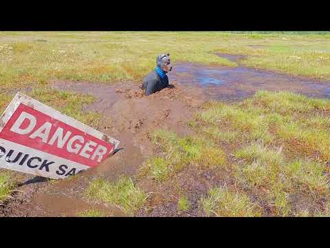 Muddy submerge in stinky o'l swamp mud - YouTube