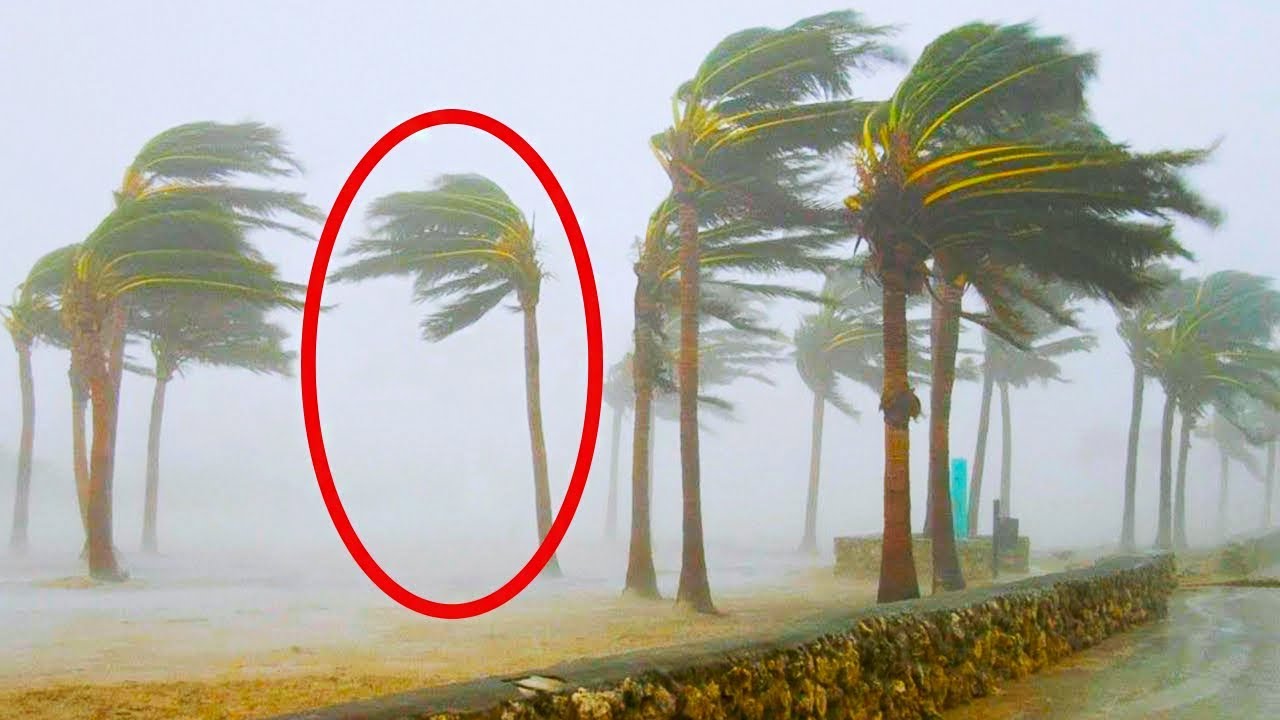 10 Glitches in the Matrix Caught on Camera # 1 - YouTube