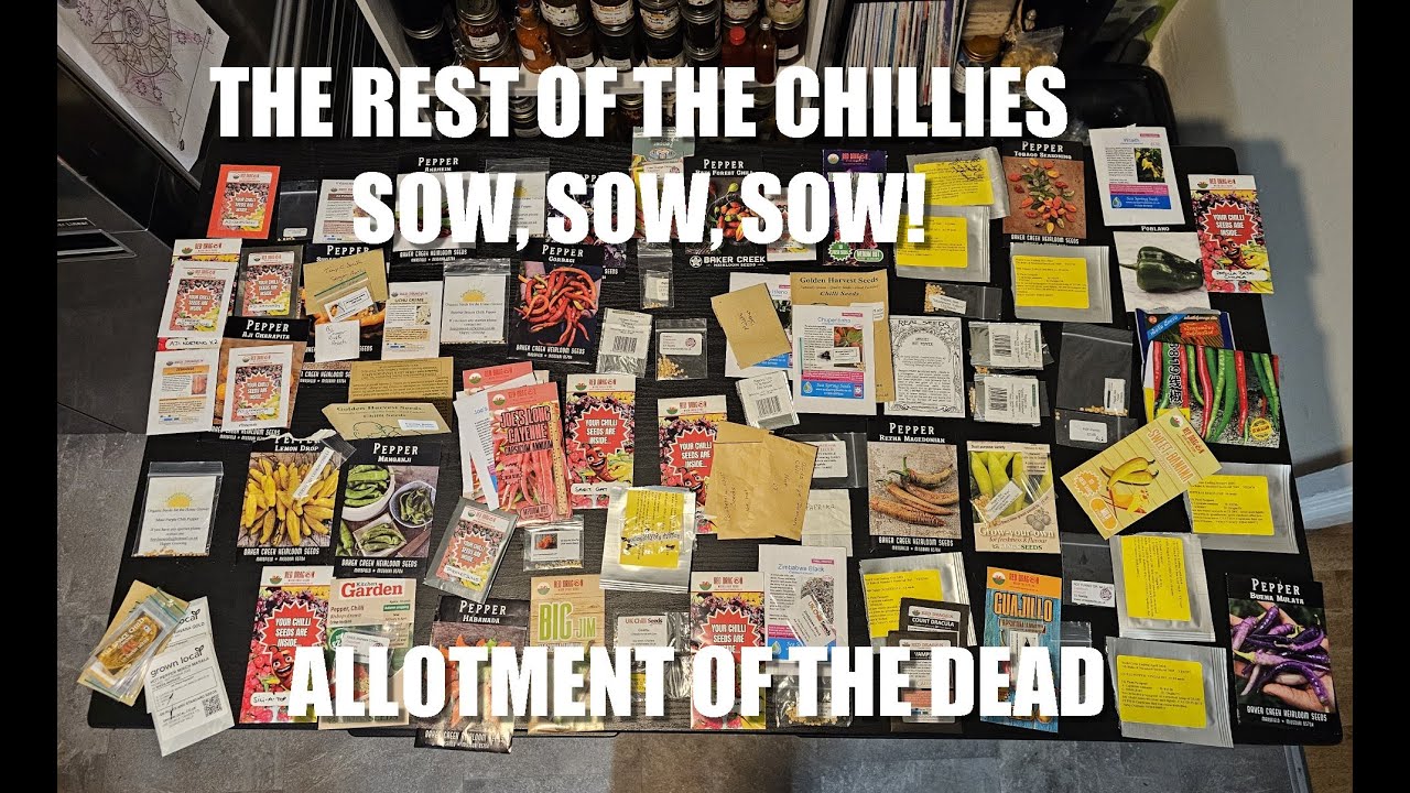 Sow sow sow - YouTube