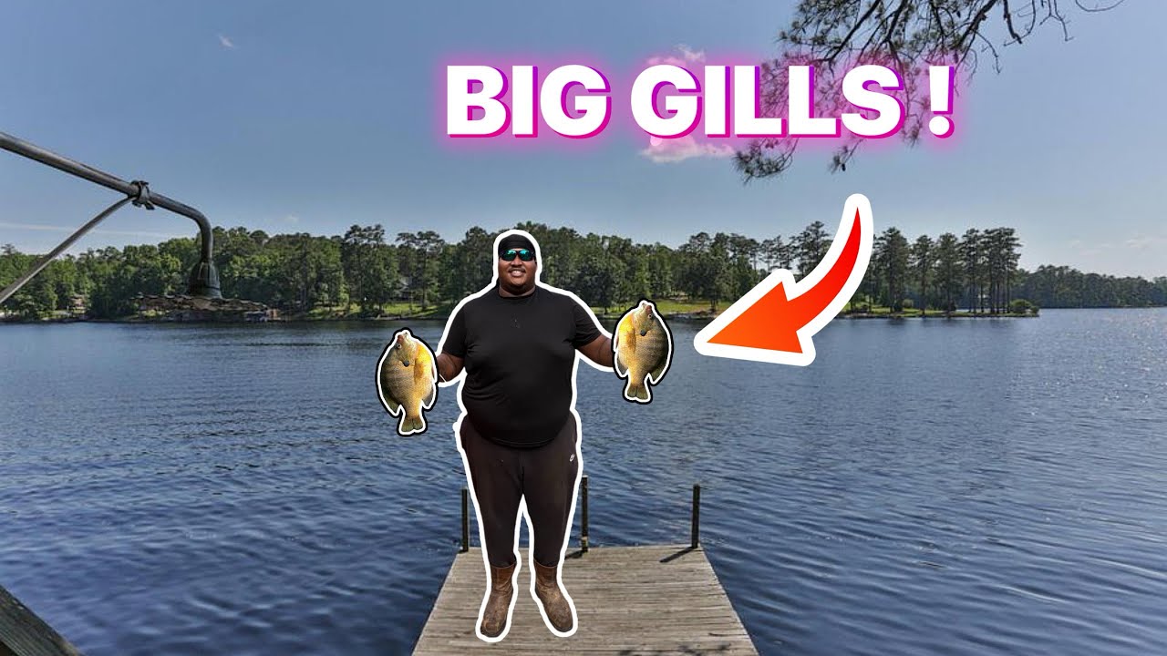 How To Catching BIG BLUEGILL SLABS In PRIVATE LAKE ! - YouTube