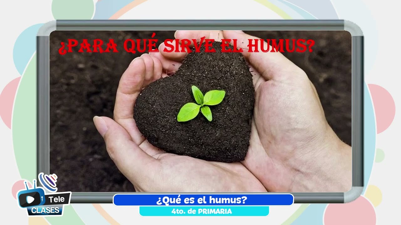 Que es el humus - YouTube