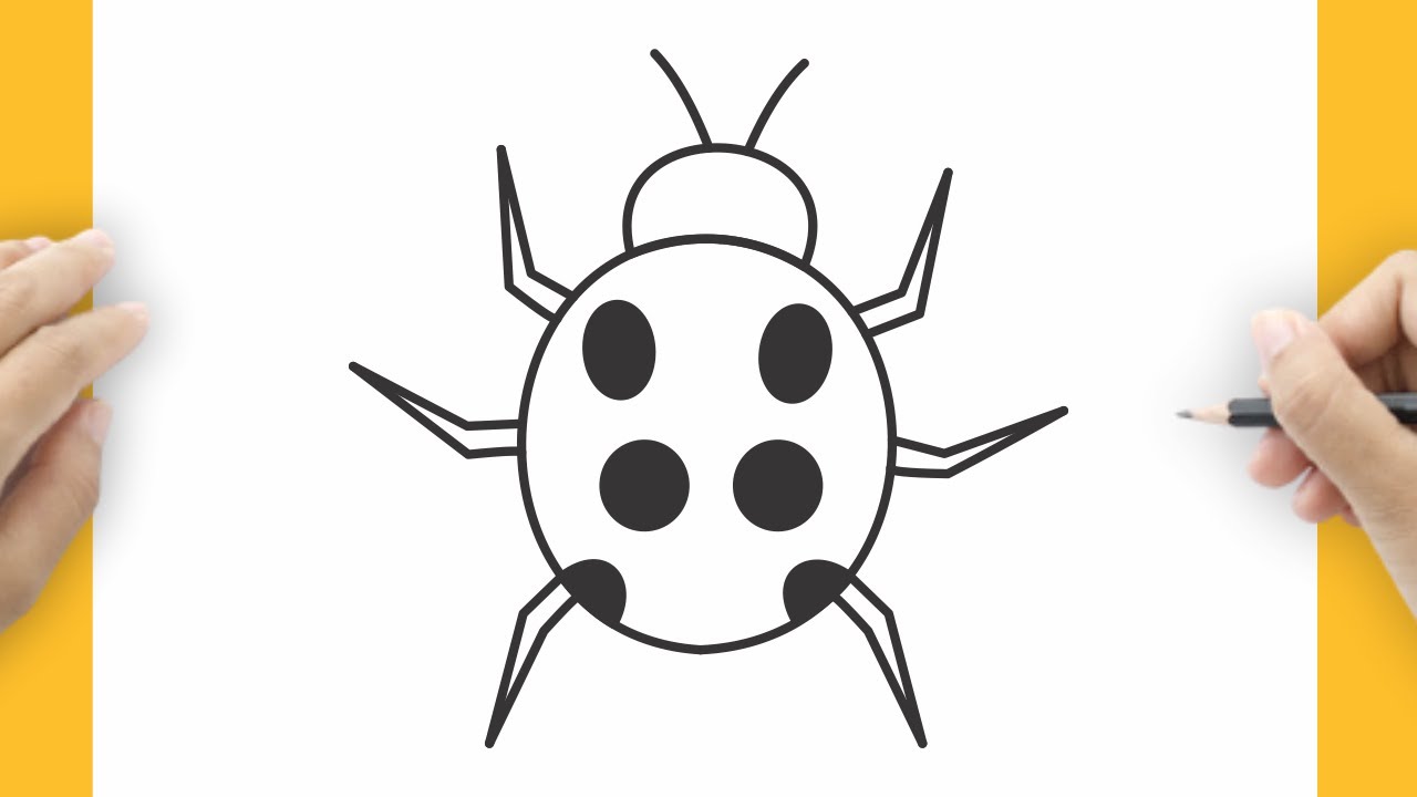 HOW TO DRAW A SPIDER EASY DRAWING - YouTube