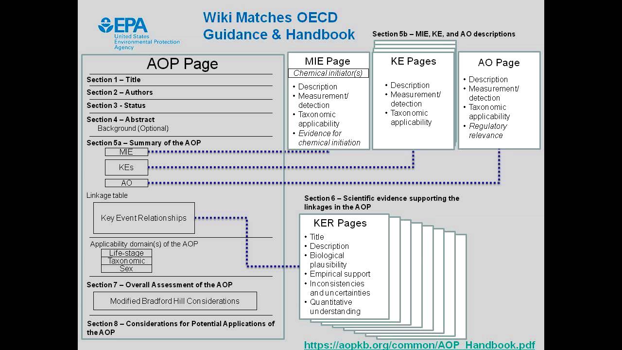 Steven Edwards: The AOP Knowledgebase, the AOP Wiki - YouTube