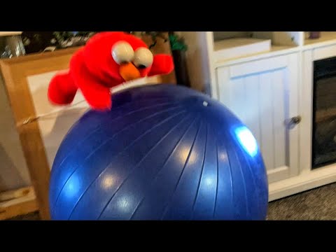 24/7 Champion Elmo discovers a big bouncy ball: Feb. 2, 2023 - YouTube