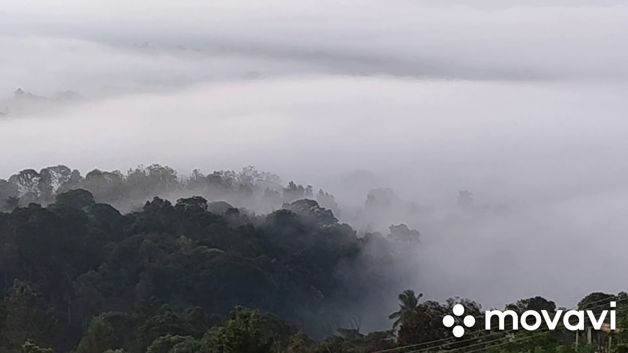Coorg Fog view | Coorg Morning View | Early Morning Madikeri Fog view ...