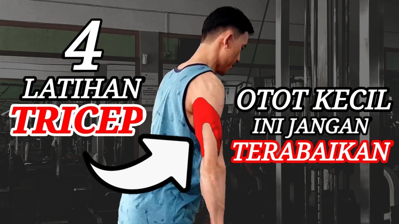 4 LATIHAN TRICEPS || TRICEPS EXERCISES - YouTube