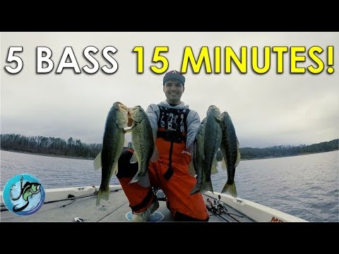 How to Pattern Fish for Bass | This Video Will Change How You Fish ...