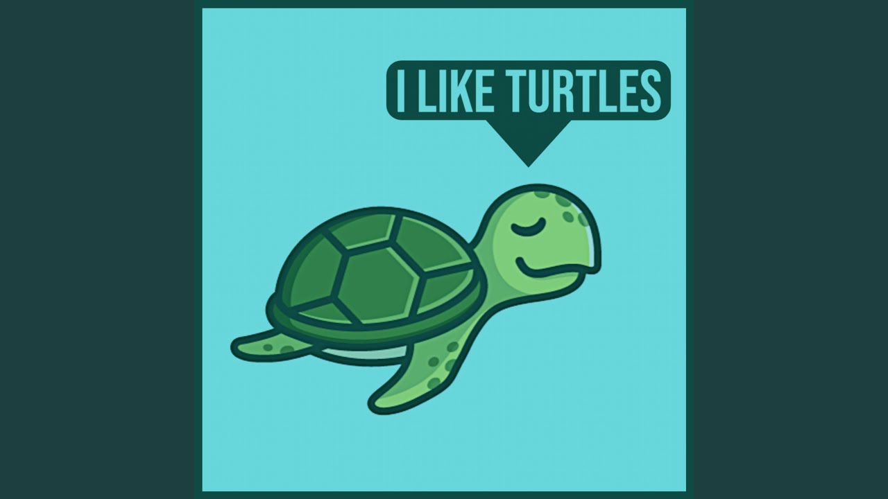 I Like Turtles - YouTube