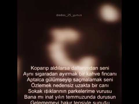 Bir Parçam Kopuyor İçimde, Dinmiyor acısı, Silinmiyor (TALADRO🌹)