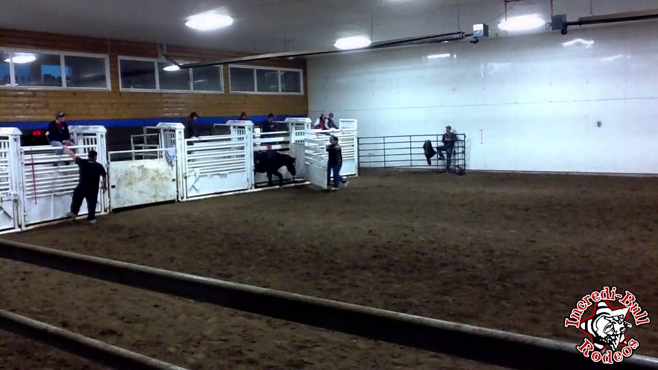 Bucking Colts January 2015 - YouTube