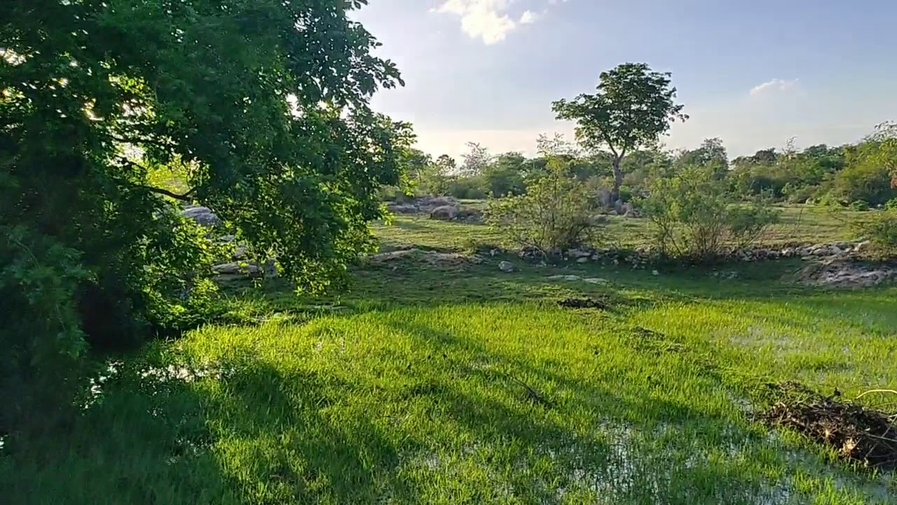 We Live On The Most Be Beautiful Planet Earth Which Has Clean And ...