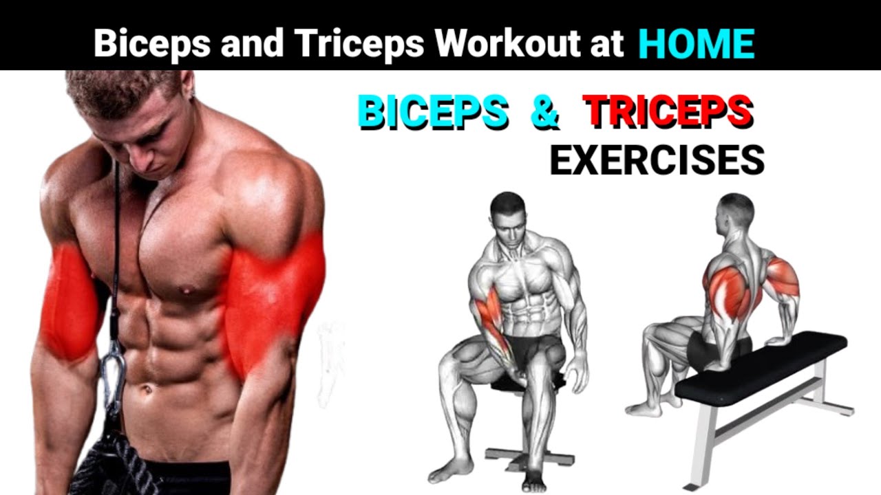 Best Bigger Biceps and Triceps Exercises at Home with no equipments ...