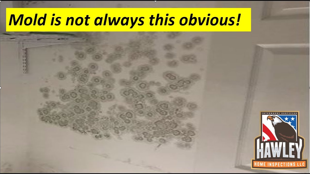 The shocking truth about hidden mold inside your walls - YouTube