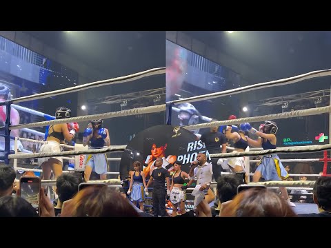 KERAS! BRUT4L‼️WILDA VS WIDYA BOXING INFLUENCER PHOENIX COMBAT SPORT 2