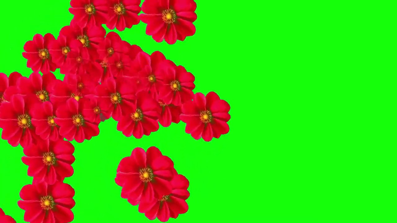 Flower Slideshow Green Screen Chroma Key - Copyright FREE Videos (EP-2 ...