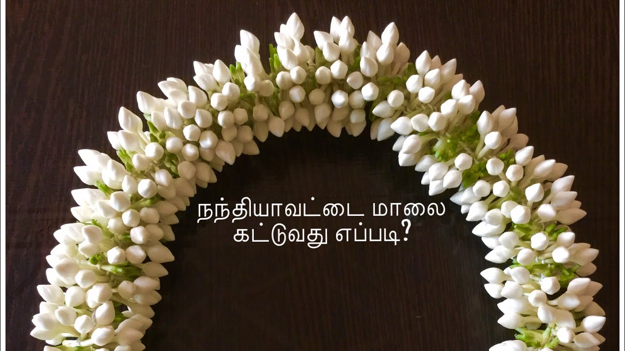 Tying nandhiyavattai buds | நந்தியாவட்டை மொட்டு மாலை கட்டுவது எப்படி ...