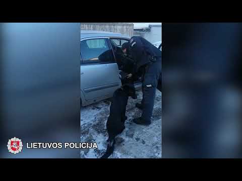 Sulaikyti jaunuoliai, neteisėtai disponavę narkotinėmis medžiagomis