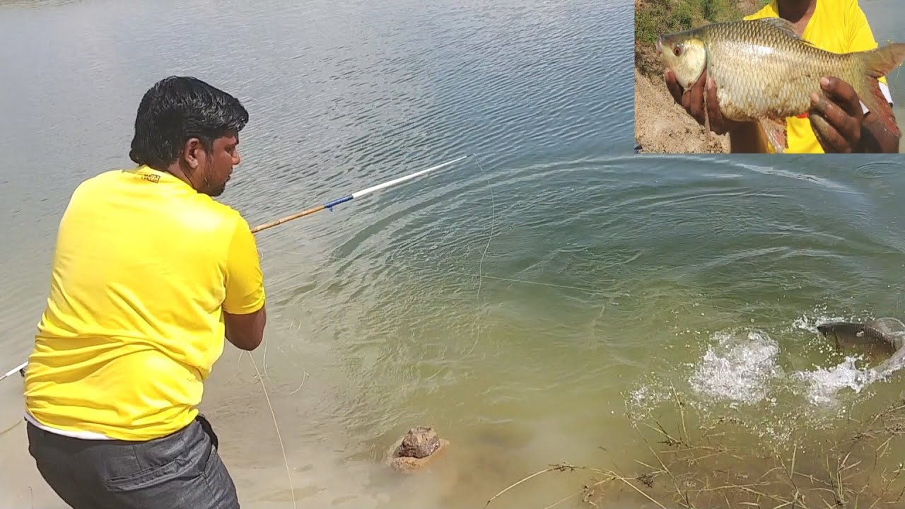 Fish hunting | Incredible fishing | Best fishing videos - YouTube