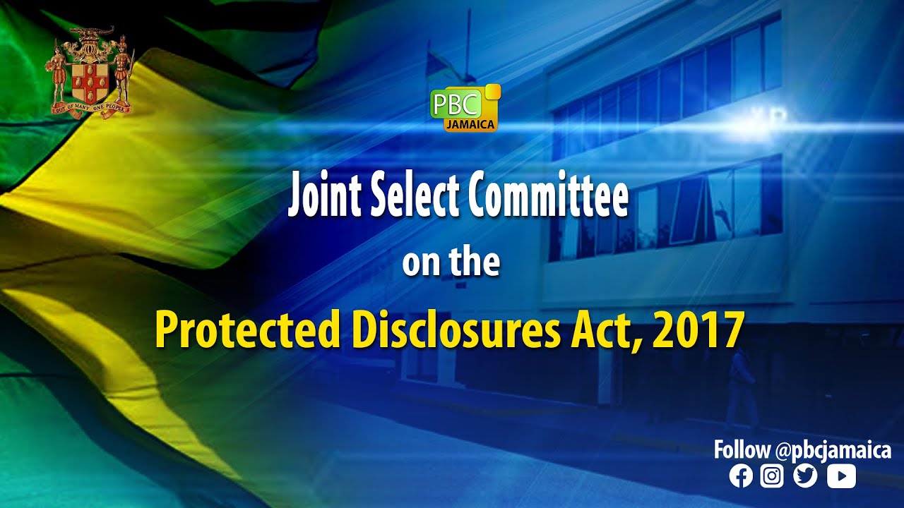Joint Select Committee the Protected Disclosures Act - October 31, 2023 ...