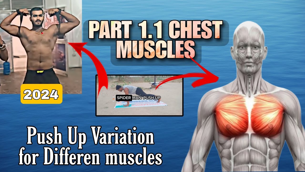 Push Up Variations For Different Muscles|| Chest Muscle - YouTube