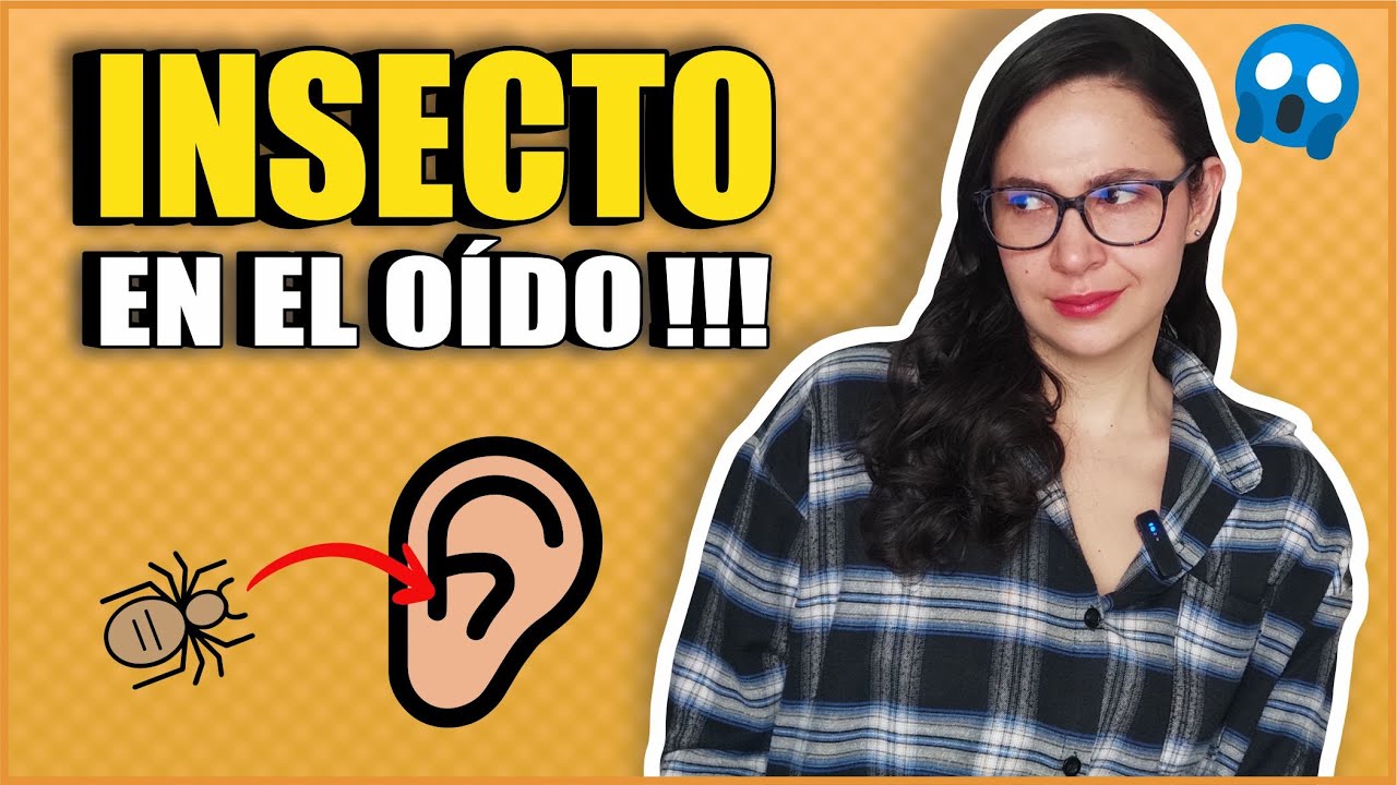 A MI MAMÁ SE LE METIÓ UN INSECTO EN EL OÍDO, COMO EXTRAERLO, URGENCIAS ...